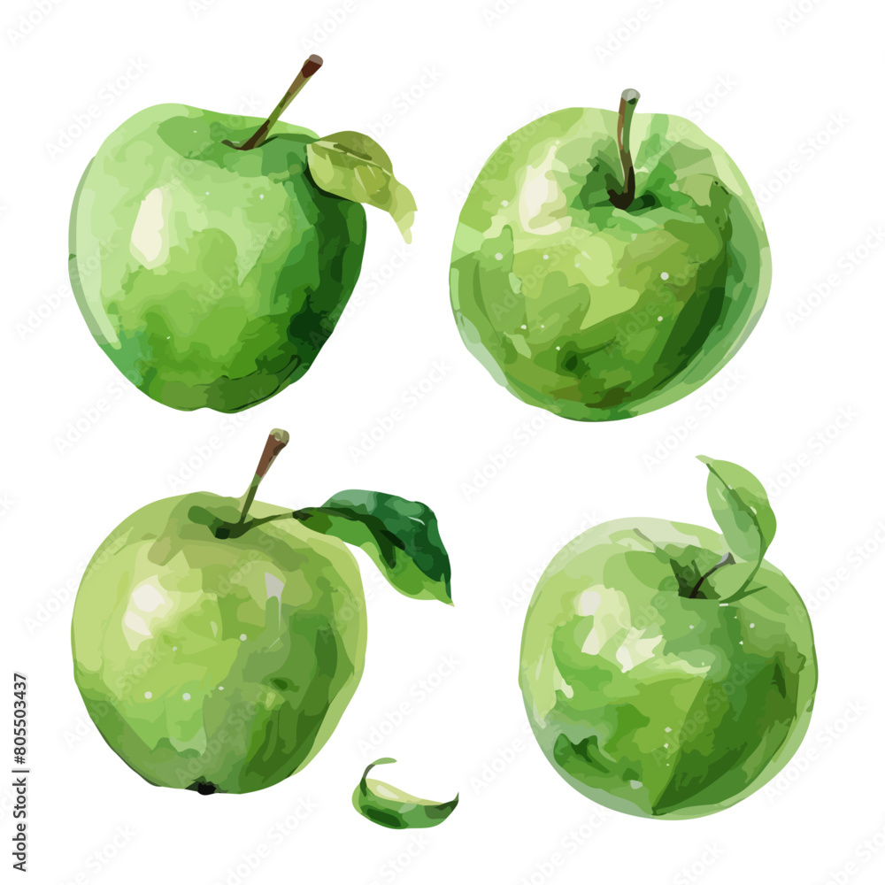 Watercolor Illustration vector of green apple collection, isolated on a ...