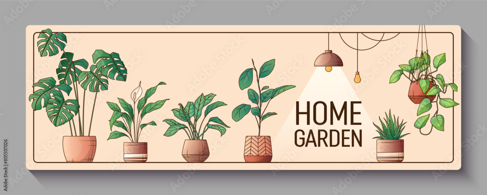 Banner background with vector illustration of houseplants of monstera ...