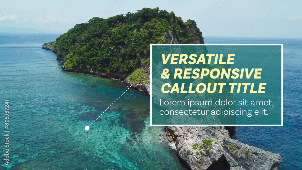 Versatile and Responsive Multi Line Callout for Editing with Custom ...