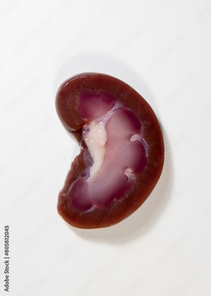 Close-up with half an animal kidney on a white background. The inside ...