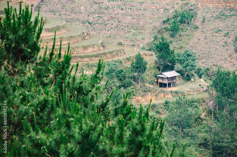 Rice Terraces in La Pan Tan, Mu Cang Chai, Yen Bai, Vietnam, Epic and ...