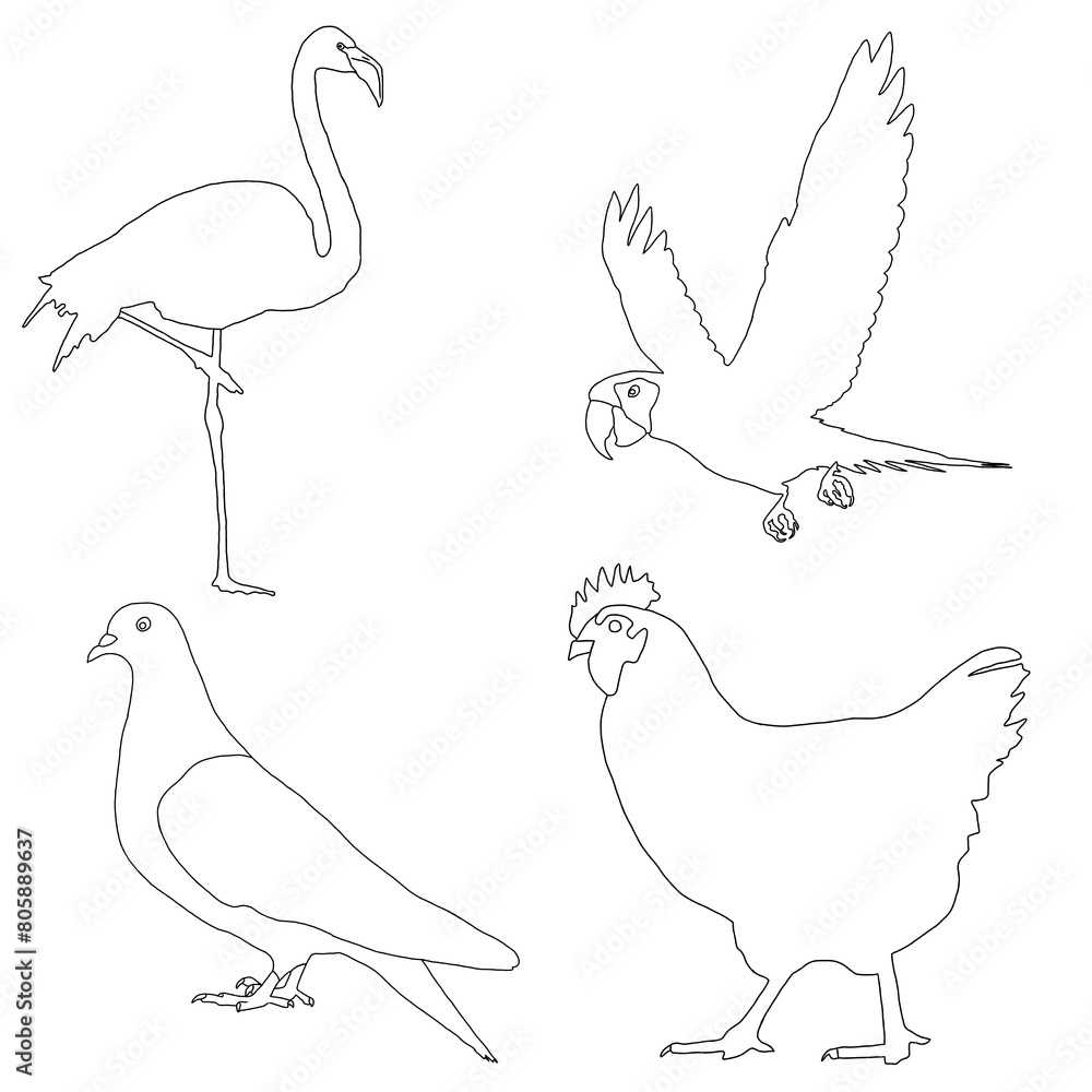 Bird Outline Illustration | Birds Clip Art Set | Bird Drawing ...