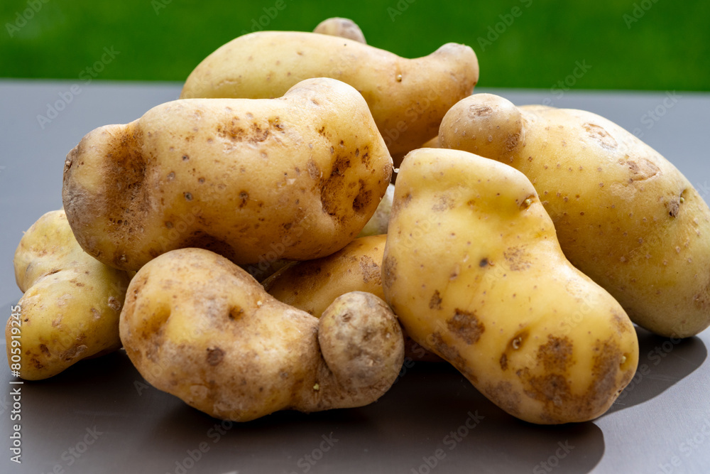 Ratte potato, La Ratte, La Reine Ratte du Touquet, or Asparges small ...