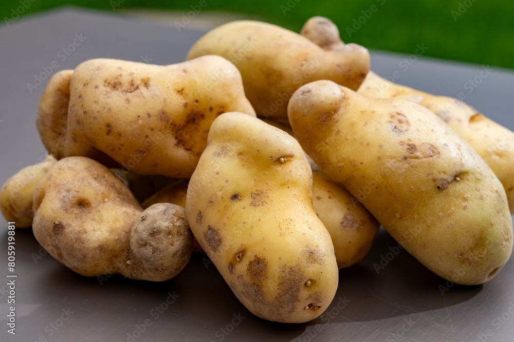 Ratte potato, La Ratte, La Reine Ratte du Touquet, or Asparges small ...