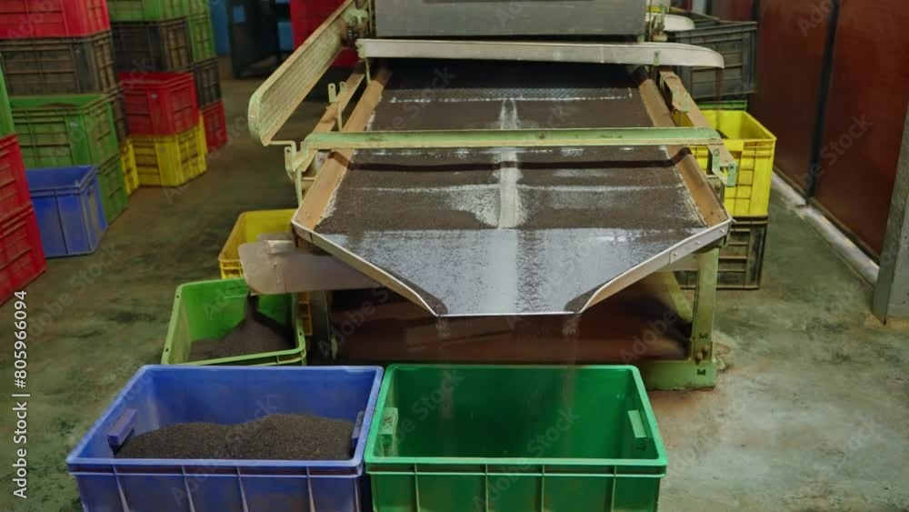 Automated tea processing line in factory. Dry loose leaves fall from ...