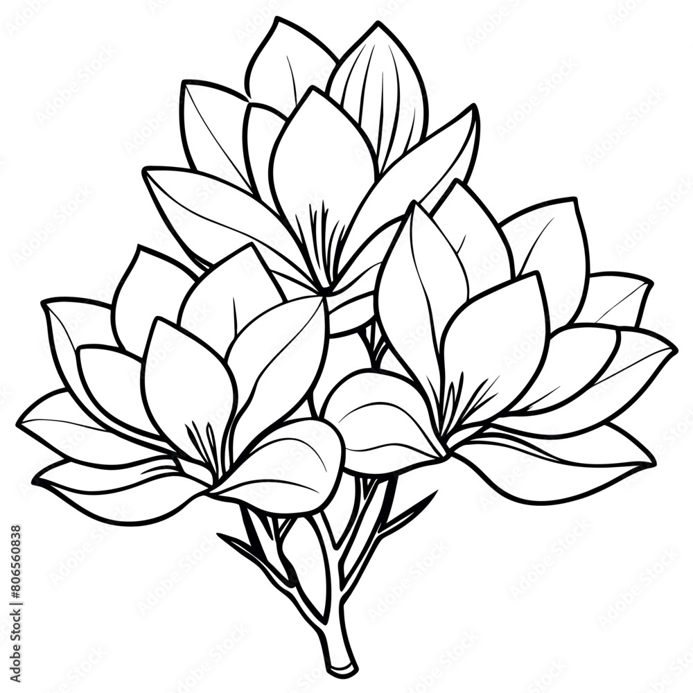 Magnolia Flower outline illustration coloring book page design ...