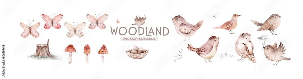 Bird set watercolor illustration. Finch, red cardinal, eastern bluebird ...