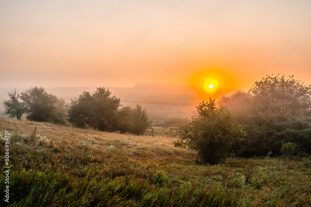 Red sunrise over the beautiful field and trees . Red clouds and sky ...