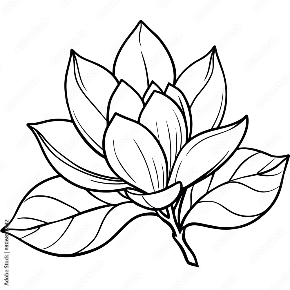 Magnolia flower outline illustration coloring book page design,Magnolia ...