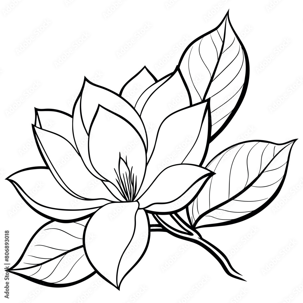 Magnolia flower outline illustration coloring book page design,Magnolia ...