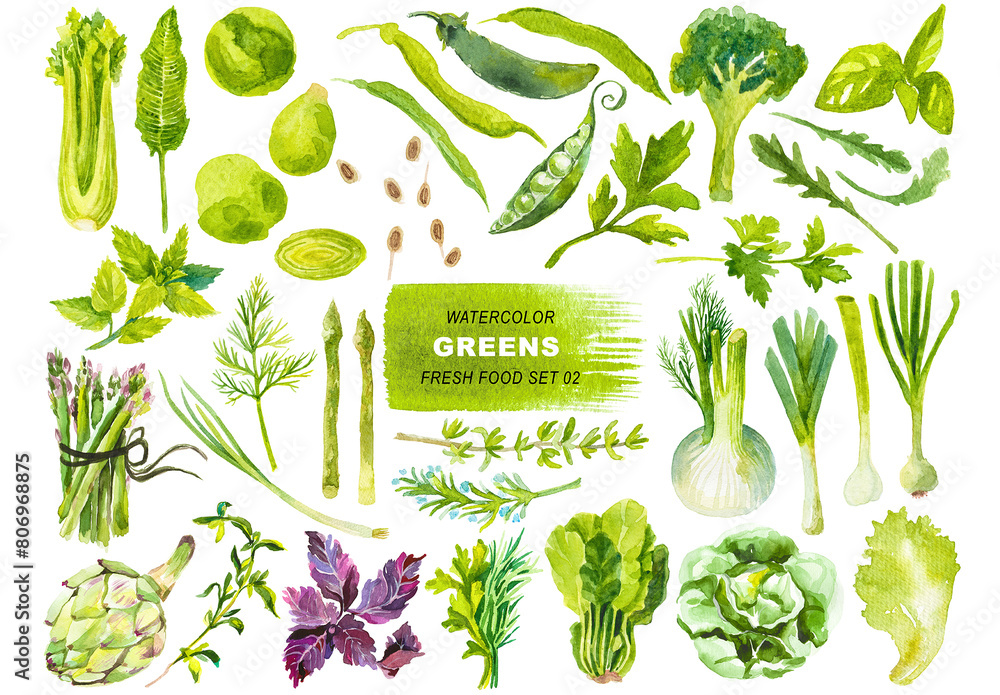 Watercolor painted collection of green vegetables. Hand drawn fresh ...