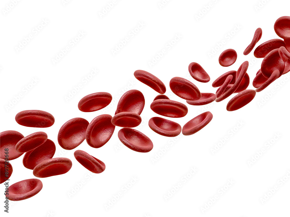 Red blood cells isolated on white, transparent background, Png. Stock ...
