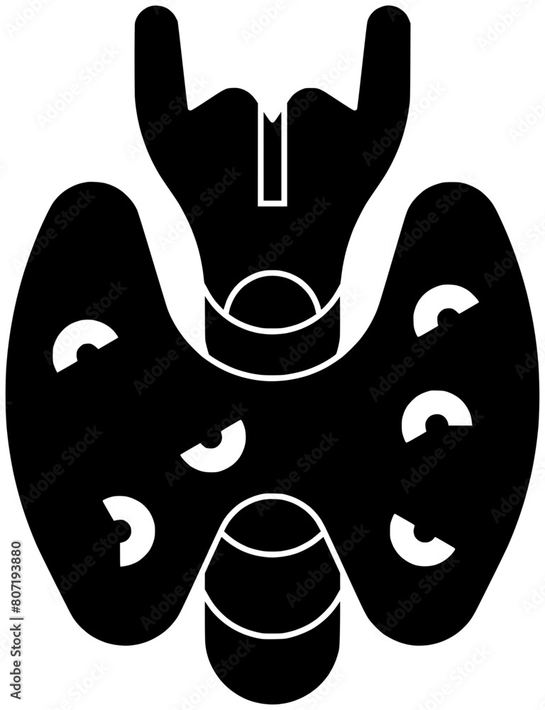 Biology Illustration Anatomy Silhouette Thyroid Logo Structure Icon Organ Outline Anatomical