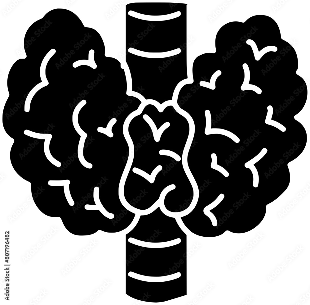 Biology Illustration Anatomy Silhouette Thyroid Logo Structure Icon Organ Outline Anatomical