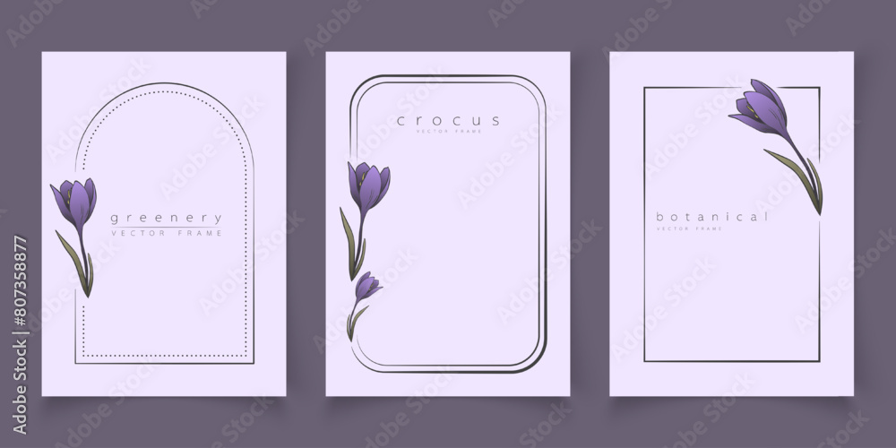 Botanical line art illustration set of crocus flower frames templates ...