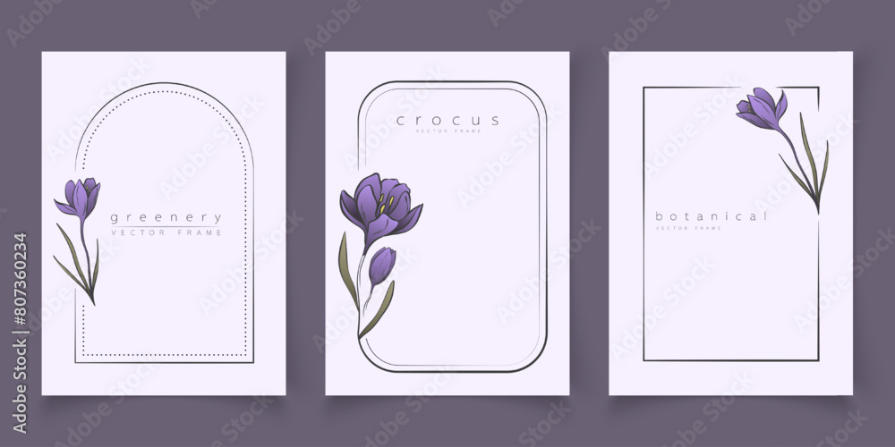 Botanical line art illustration set of crocus flower frames templates ...
