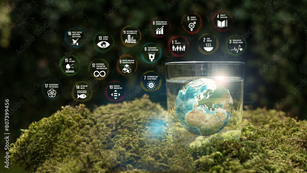 Earth 3D Global 17 Global Goals SDG Icons Plexus Concept In Glass Of ...