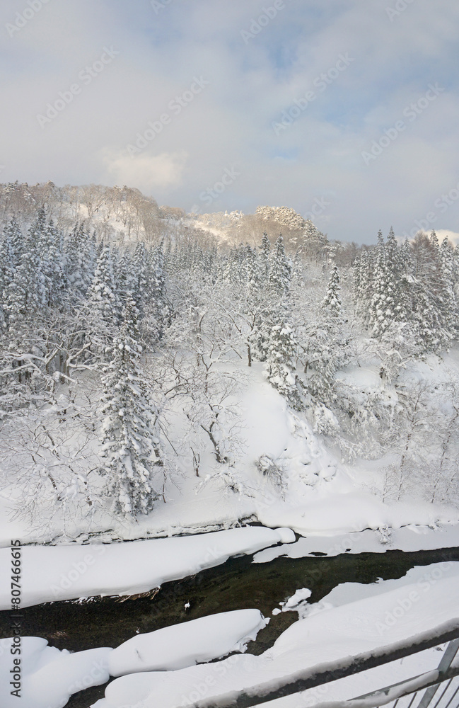 Beautiful Japanese satoyama winter scenery, forest on the hill covered ...