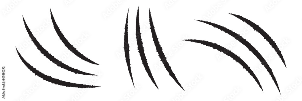 Claw scratch vector illustration. Set of cruel animal scratches horror ...