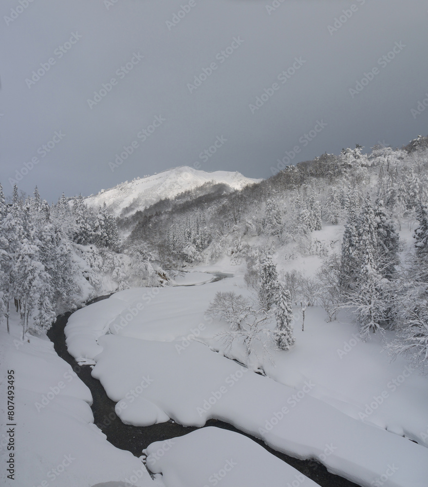 Beautiful Japanese satoyama winter scenery, forest on the hill covered ...