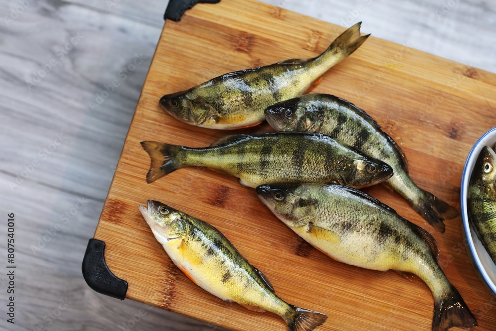 Canadian freshwater fish, fishing, striped bass, cooking fish, in the ...