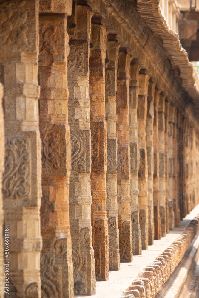 Beautiful Carving Details on the Pillars of Sri Rangnatha Swamy Temple ...