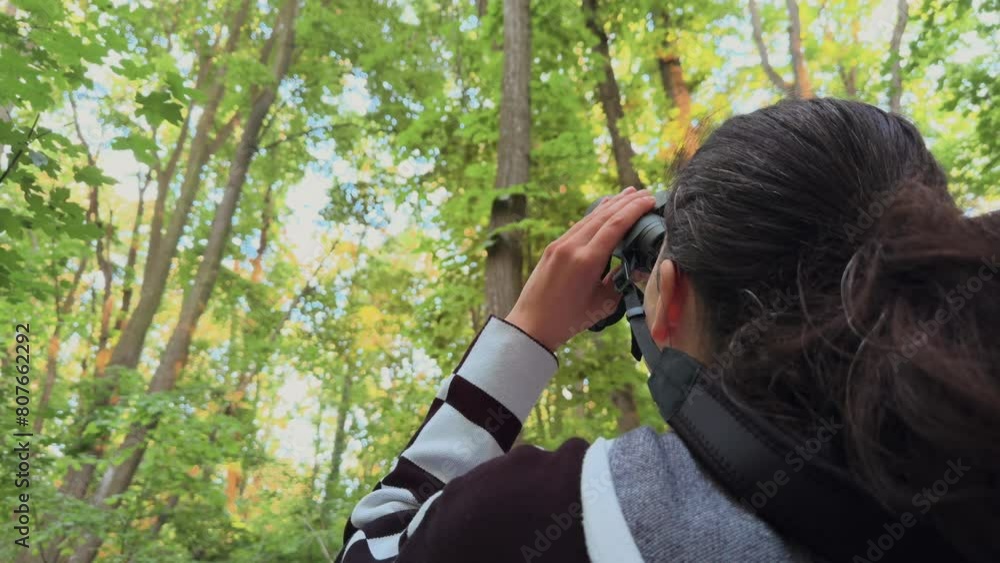 Birdwatching. 4K video with a woman filmed from behind while searching ...