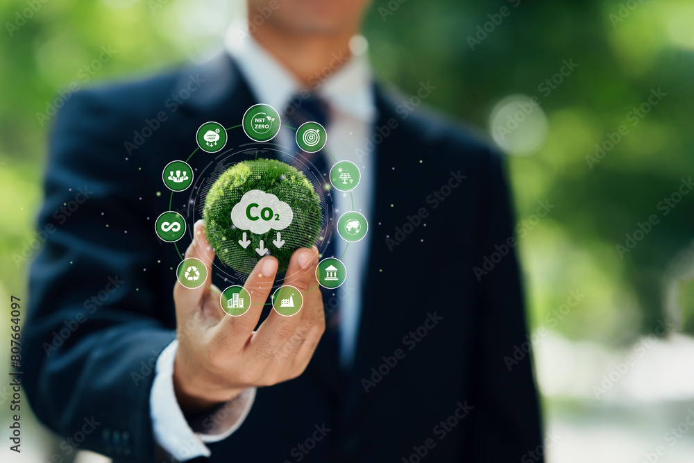 Carbon neutral or offset concept to Net zero greenhouse gas emissions ...