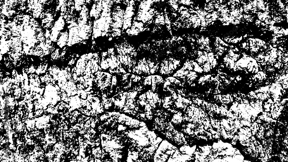 1-1.Tree bark texture effect - illustration. Black and white vector ...