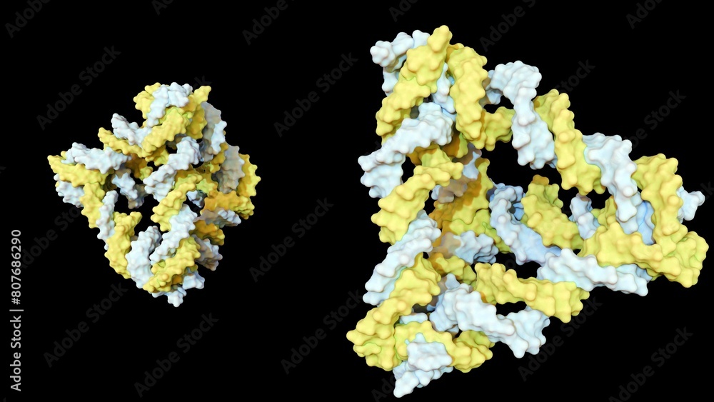 The DNA tetrahedron is designed to be mechanically robust; it consists ...
