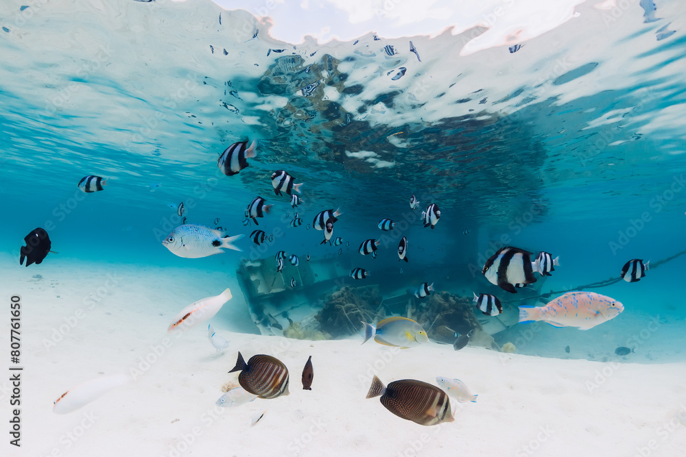Tropical ocean with wreck on sandy bottom and school of fish ...