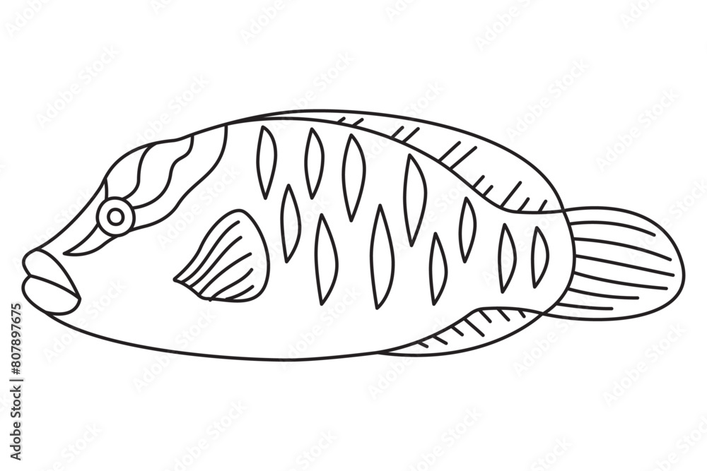 Tropical Fish. Simple Hand Drawn. Isolated on white background. line ...