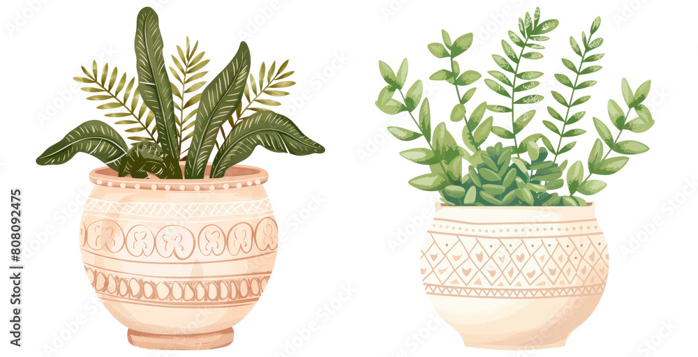 Set of cute boho pot with plant clipart, isolated on transparent ...