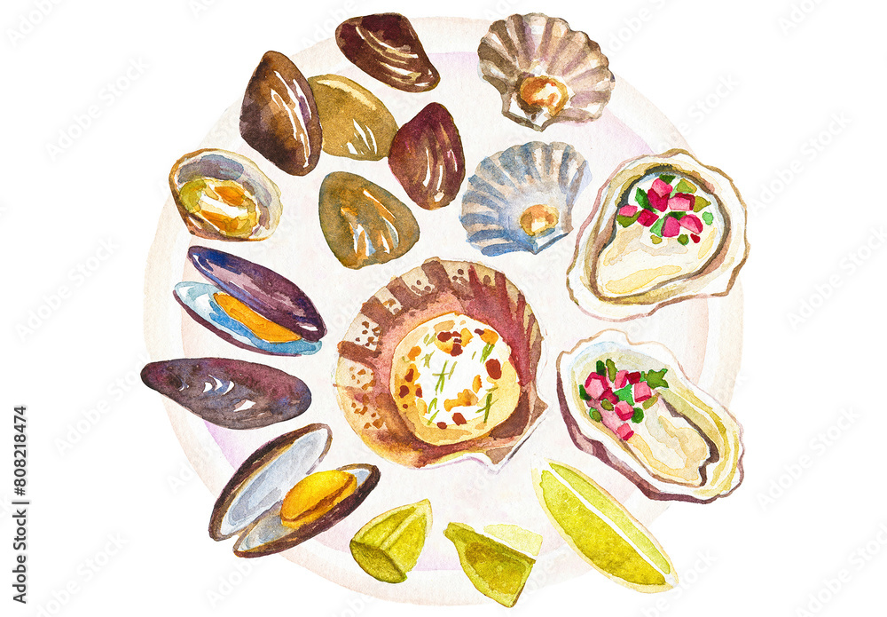 Watercolor painted clams. Hand drawn fresh seafood design elements ...