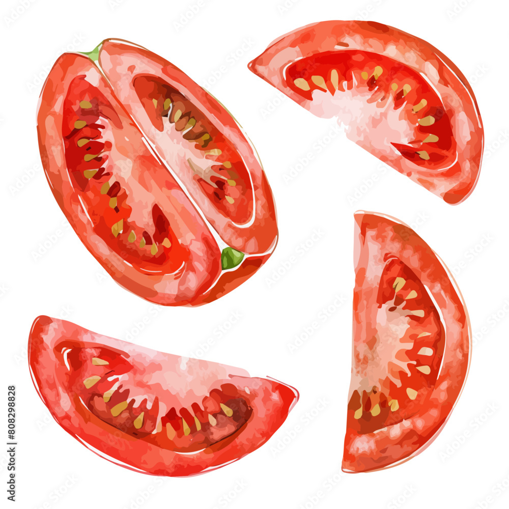 Watercolor drawing clipart of tomato slice, isolated on a white ...