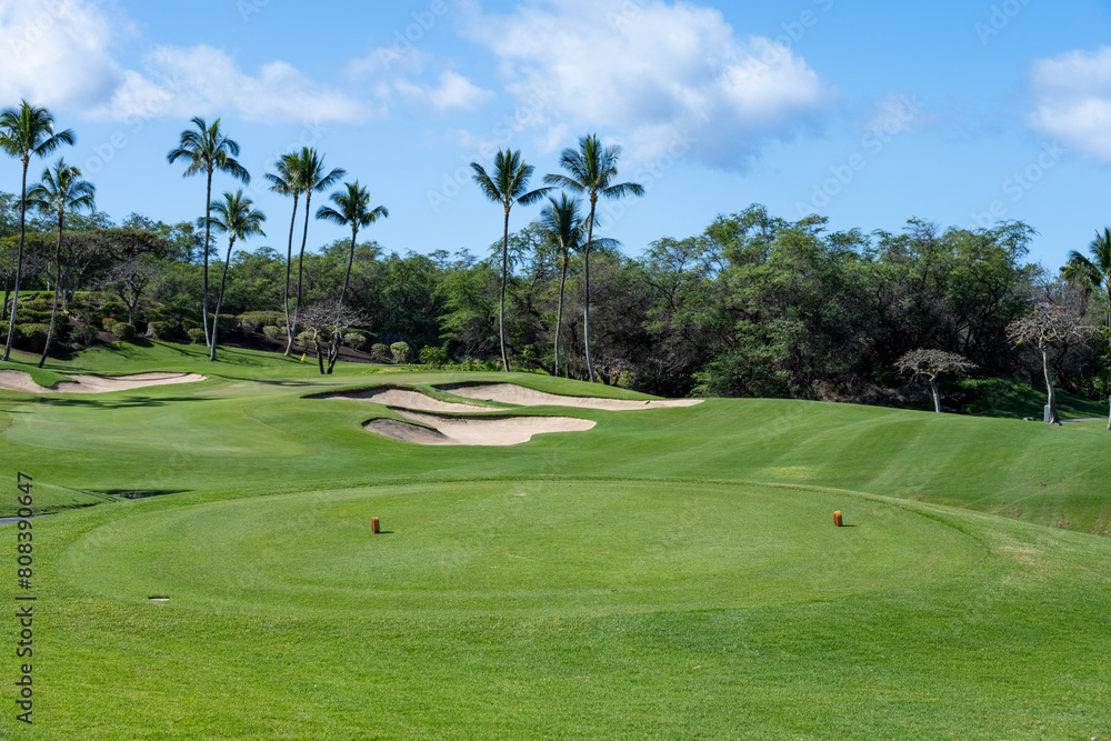 Tropical par 3, view from the tee box over sand traps to putting green ...