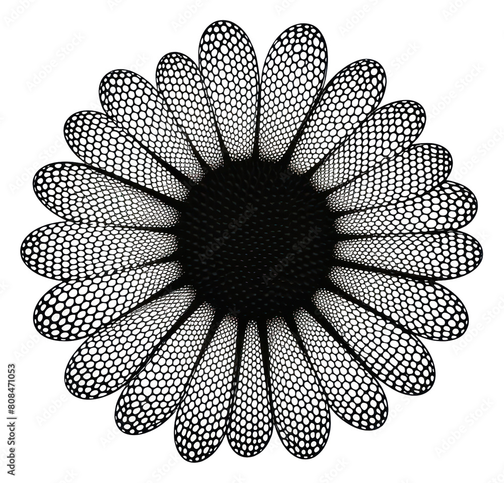 PNG Pattern flower daisy asteraceae. Stock Photo | Adobe Stock