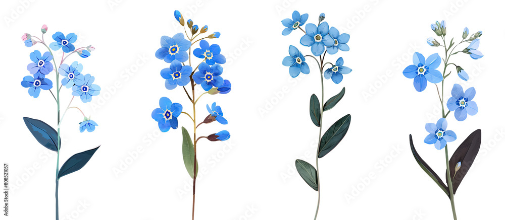 Collection of Forget-me-not flower single stem clipart watercolor ...