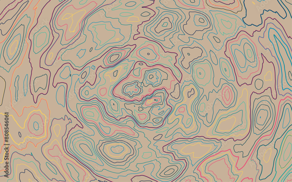 Topographic map contour background. Topo map with elevation. The ...