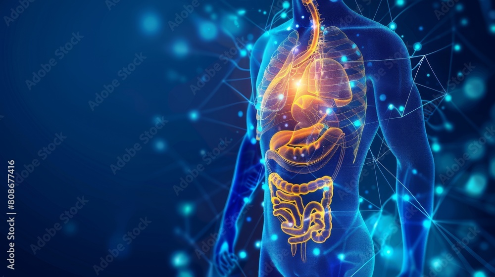Diagram of Human Digestive System for Science Biology study in ...