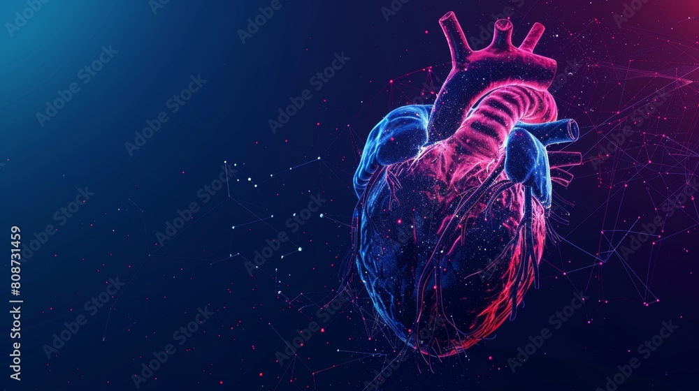 Human heart in blue and red abstract style. Heart anatomy concept in ...