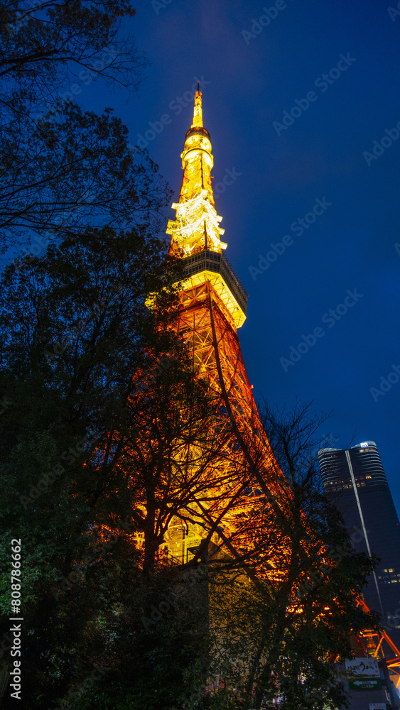 TOKYO, JAPAN – APRIL 2024 : night view of Tokyo Tower illuminated at ...