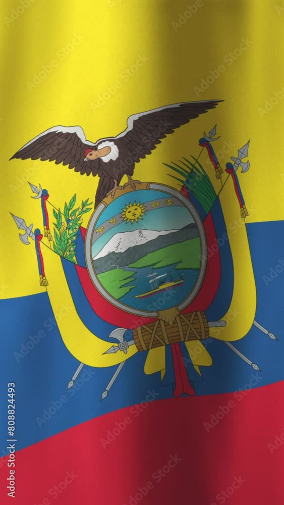 Waving Flag of Ecuador, Vertical Fill Video, HD Animated Background ...