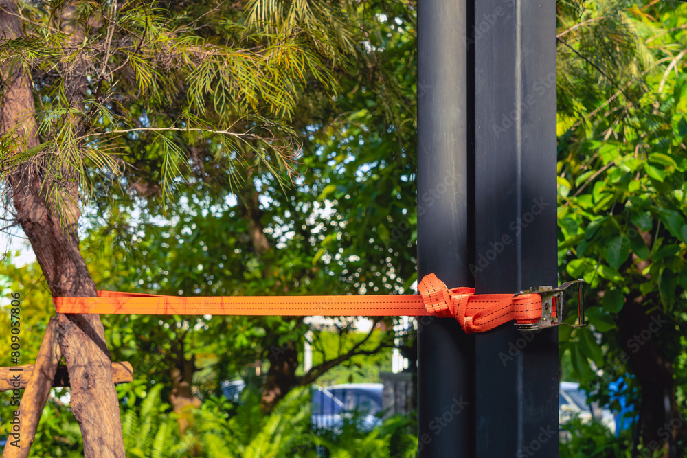 Orange stark sling tied to pole and tree to control the growth of tree ...