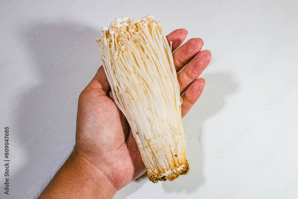 Fresh enoki mushrooms, served held in the left hand, on a plain white ...
