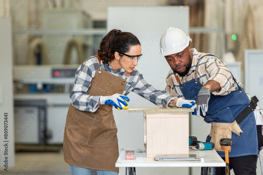 Two colleague young aged carpenter standing aim equipment tool for wood ...