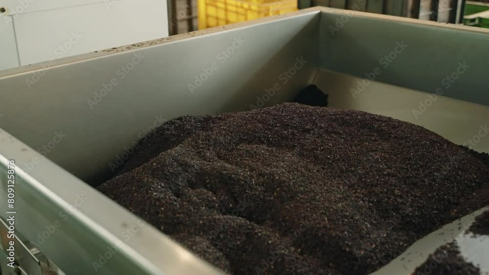 Automated production line processes fresh tea leaves in factory ...