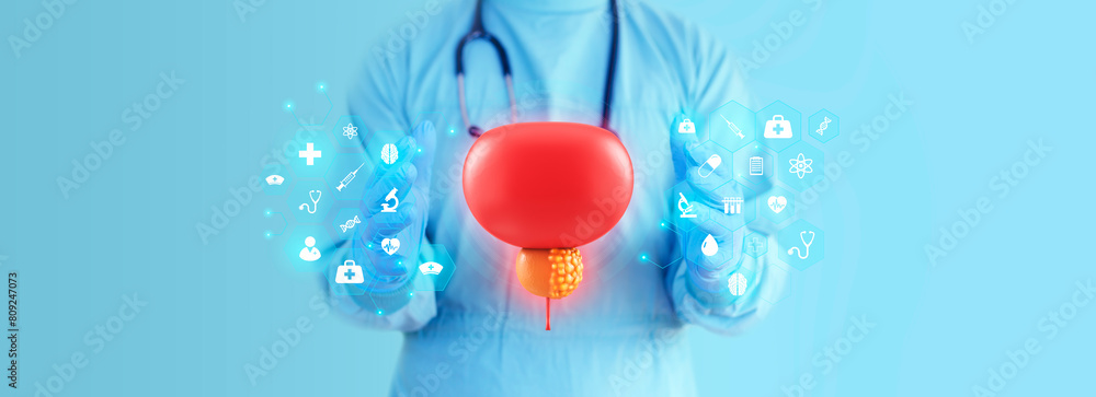 Prostate cancer concept. The doctor analyzes the area of the prostate ...