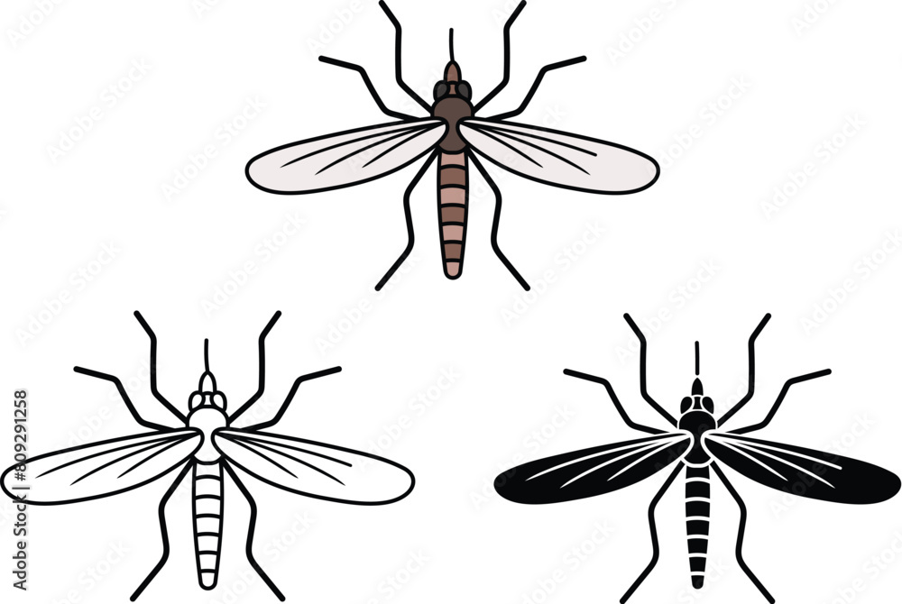 Mosquito Insect From Top View in 2D Clipart Set - Outline, Silhouette ...