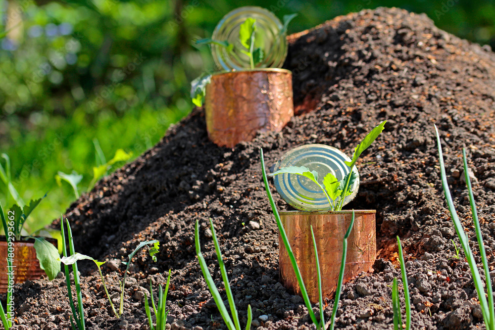 Plant protection and slug defense in organic farming Stock Photo ...
